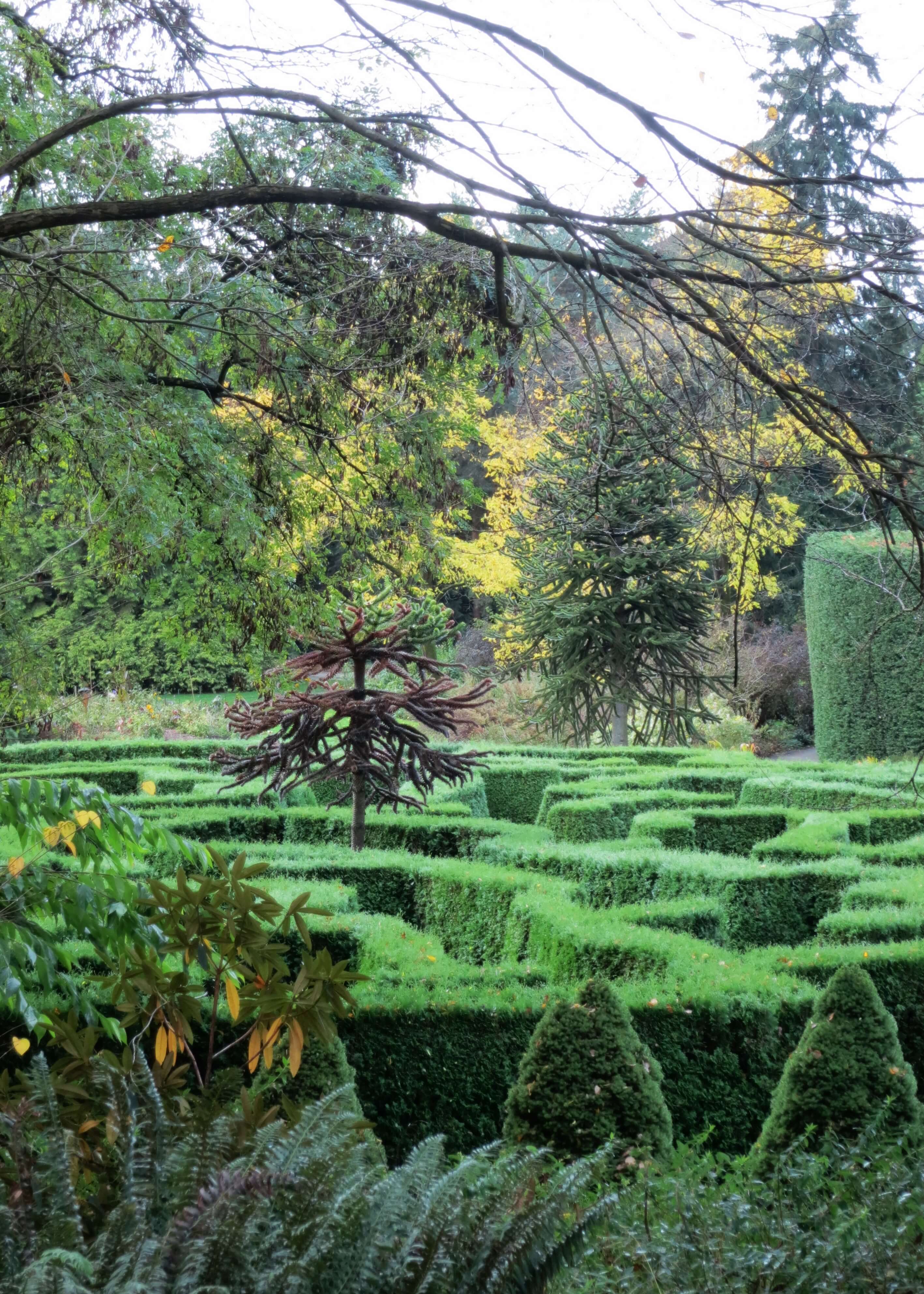 Mastering the use of PHP conditionals | The Man in the Arena