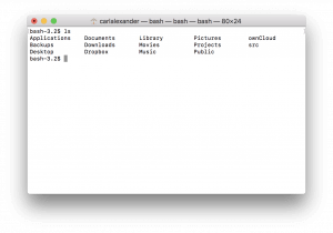 Introduction to the command-line interface | The Man in the Arena